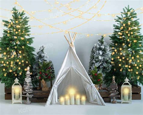 Kate Christmas Tree Tent Backdrop Designed By Emetselch 20x10ft6x3m