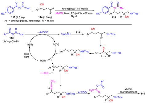 A Comprehensive Review Of Radical Mediated Intramolecular Cyano Group