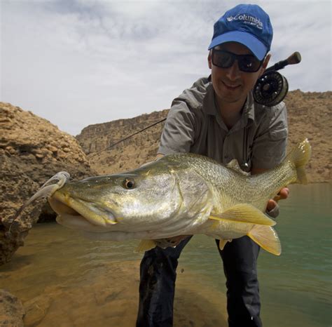 Iran Fish Species The Mission Fly Fishing Magazine