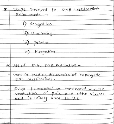 Summarize Dna Replication Process Based On The Sv40 Model Wizedu