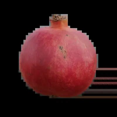 Pomegranate Food Models