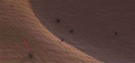 Flickering Shadows And White Points Rblenderhelp