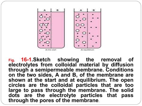 Colloidal Dispersion Pptx