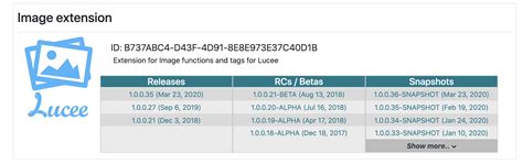 Lucee Extentions Running Cfimage In Lambda