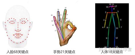 MMPose代码学习笔记 知乎