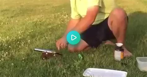 A Miniature Demonstration As To The Importance Of Proper Storage Of