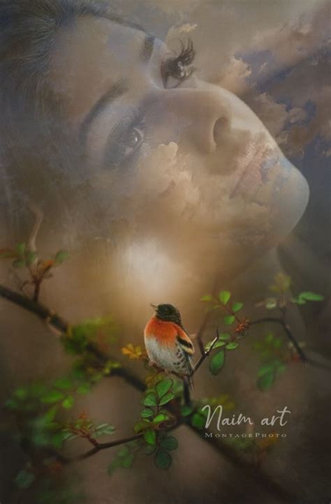 Pin Su Montage Naim Art