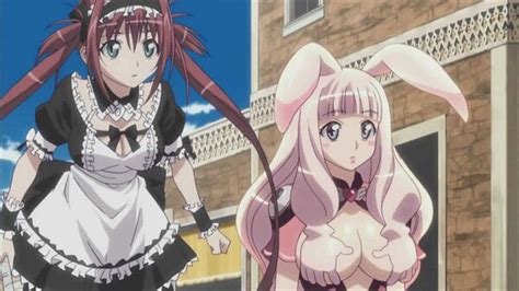 My Waifu Wiki Anime Amino My Waifu Wiki Anime Amino