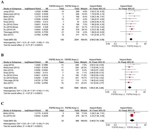 Pathologic And Prognostic Impacts Of Fgfr2 Amplification In Gastric Cancer A Meta Analysis And