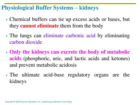 Ppt Acid Base Balance Powerpoint Presentation Free Download Id2821926