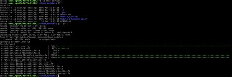 Bacterial Genome Assembly Using Mycobacterium Tuberculosis Example Dataset Oman NGS