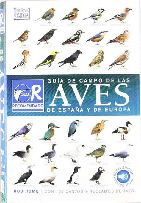 Pico Y Plumas Beak And Feathers Recursos De Un Ornitólogo Guía De
