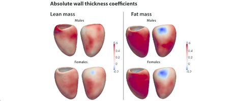 three dimensional regression models of the association between absolute