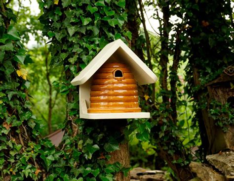 Bumble Bee Nester Real Ts