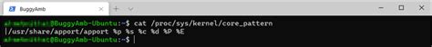 调试器、核心转储和收集核心转储 Aspnet Core Microsoft Learn