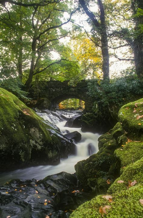 Earth Escape Earthescapepro Twitter