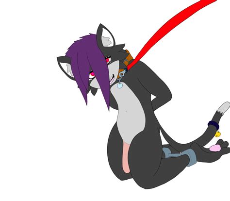 Rule 34 Absurd Res Anthro Bondage Bondage Bound Collar Domestic Cat
