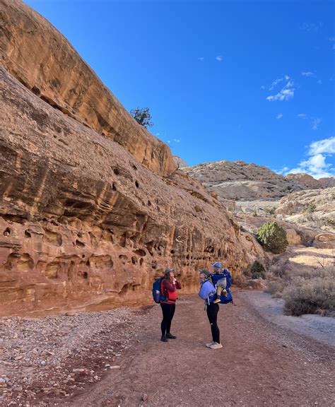 5 Best Hikes In Capitol Reef National Park Ultimate Travel Guide