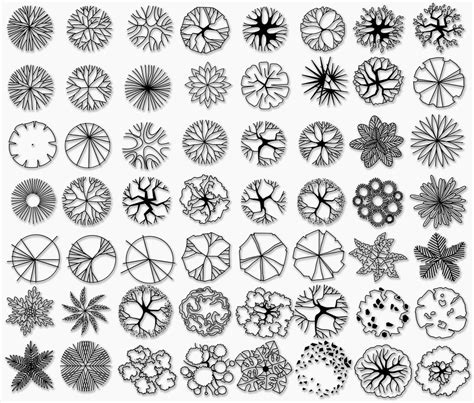 Tree Plan View Png Pack Landscape Tree Plan View Png Tree Stamps Landscape Tree Symbols