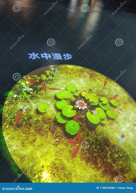 Water Surface Projection In Sichuan Science And Technology Museum