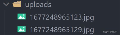 在 node 中使用 koa multer 库上传文件详解 csdn博客