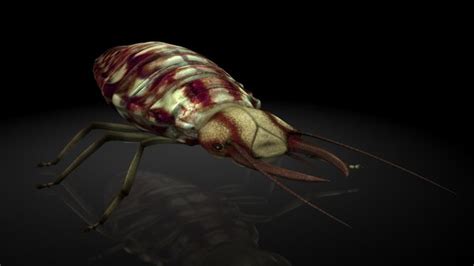 3d Larva Models Turbosquid