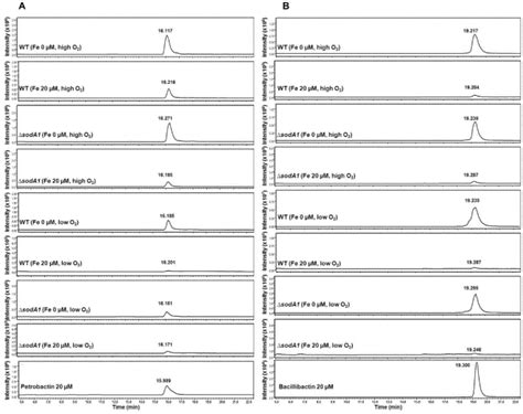 Regulation Of Petrobactin And Bacillibactin Biosynthesis In Bacillus
