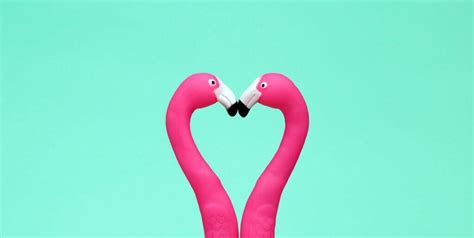 How Far Can Genital Warts Spread At Jacqueline Sadler Blog