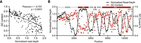 Widespread Genetic Heterogeneity Of Human Ribosomal Rna Genes
