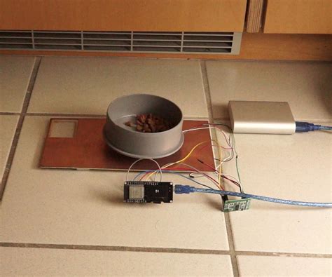 Connected Cat Feeder Using A Strain Gauge And An Esp32 11 Steps With Pictures Instructables