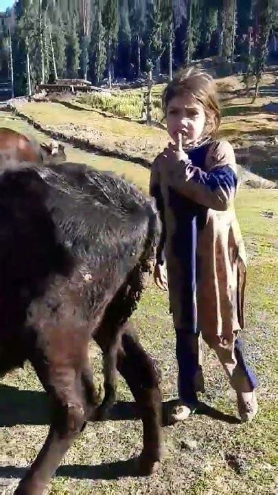 افغانستان کنر Youtube