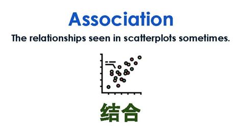 Statistical Analysis Word Wall English To Chinese Simplified Tpt