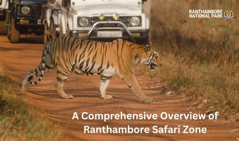 Ranthambore Safari Zone A Comprehensive Overview
