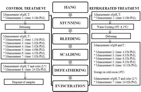 Chicken Meat Processing Steps At Chloe Dunbar Blog