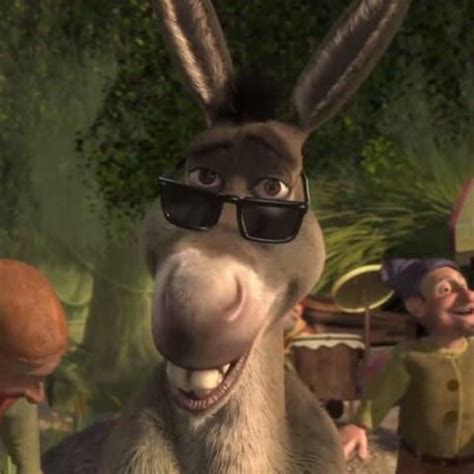 27 Ideas De Burro Para Guardar Hoy Burro De Shrek Shrek Shrek