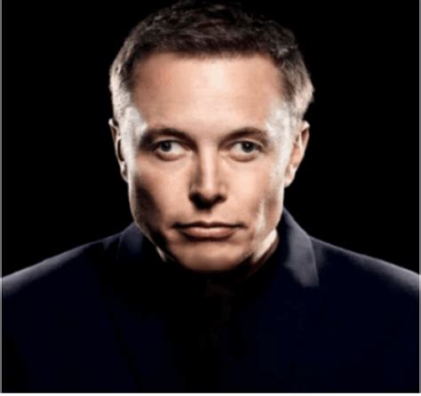 머스크 주식 에펨코리아