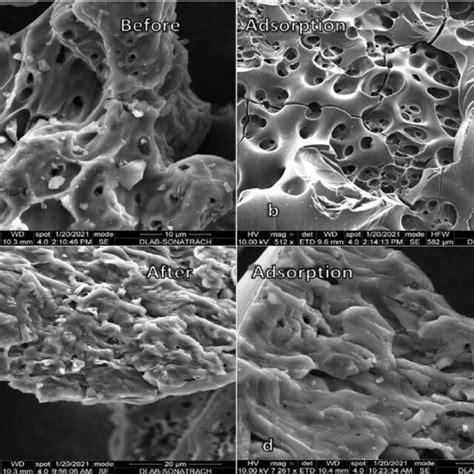 Microscopic Observation Of The Adsorbent Before And After Mg Adsorption