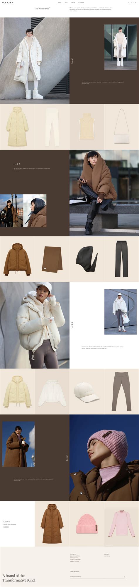 Vaara Website Design Lapa Ninja