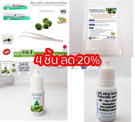 มาริโมะ Marimo Set Xl แถมฟรีอุปกรณ์ครบชุดพร้อมเลี้ยง Th