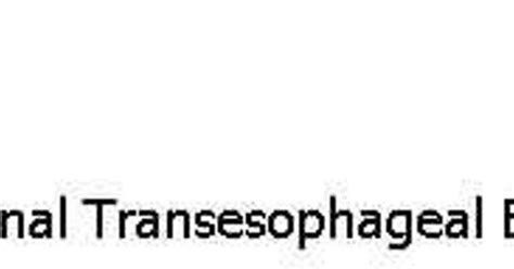 Real Time Three Dimensional Transesophageal Echocardiography A Step By