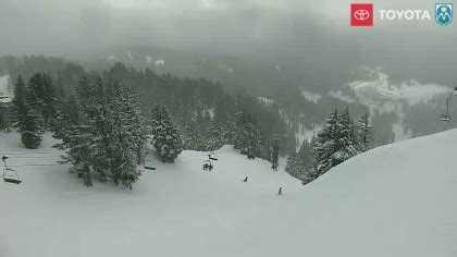 Mount Hood Mount Hood Meadows Ski Resort Oregon Usa Webcams