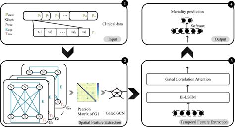 Architecture Of Gstcnet The Four Components Are Input Spatial Feature
