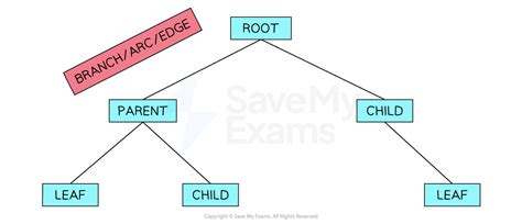 Trees Ocr A Level Computer Science Revision Notes 2017 Save My Exams