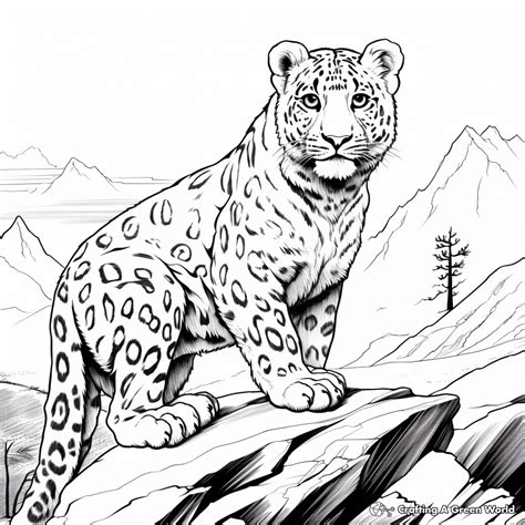 Snow Leopard Coloring Pages Free And Printable