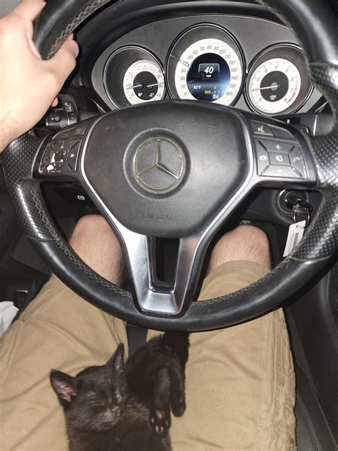 Sleepy Kitty R Tightpussy