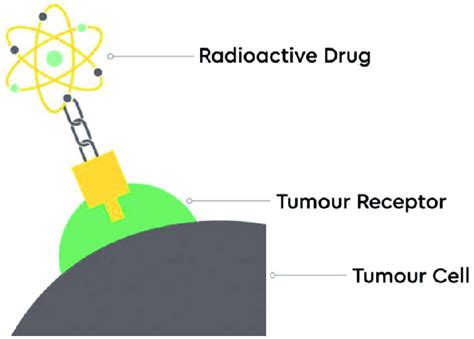 Theranostics Working On Tumor Cell Download Scientific Diagram