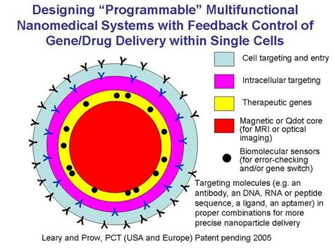 A Multilayered Nanoparticle System Contains Targeting Biosensing And Download Scientific
