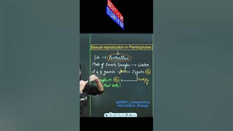Sexual Reproduction In Pteridophytes Quickshot Biology Neetpreparation Medicalentrance