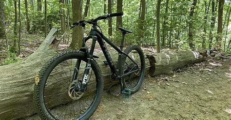 2018 Roscoe 7 Album On Imgur