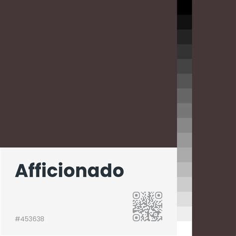 Afficionado Perbang Dk